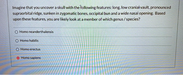 SOLVED: Imagine that you uncover skull with the following features ...