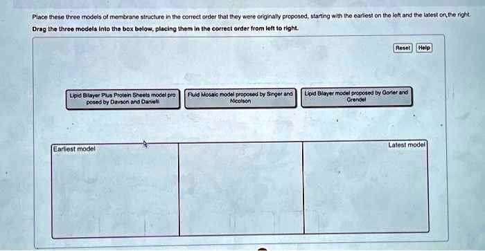 Place these three models of membrane structure in the correct order ...