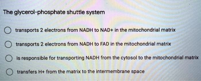 the glycerol phosphate shuttle system transports 2 electrons from nadh ...
