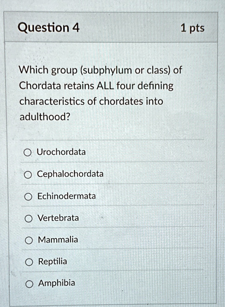 question 4 1 pts which group subphylum or class of chordata retains all ...