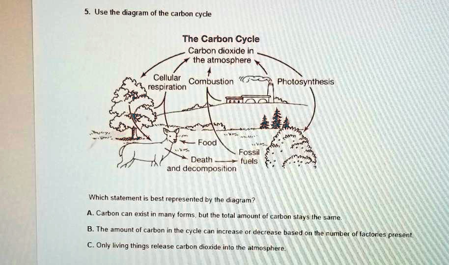 5. Use the diagram of the carbon cycle The Carbon Cycle Carbon dioxide ...
