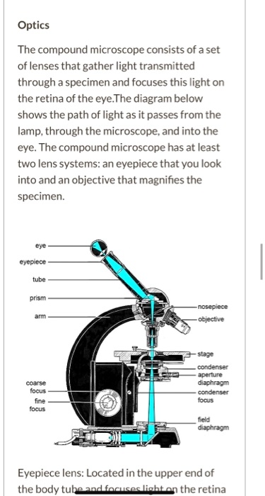 SOLVED:Optics The compound microscope consists of aset of lenses that ...