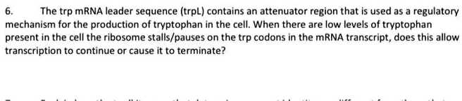SOLVED: The trp mRNA leader sequence (trpL) contains an attenuator ...