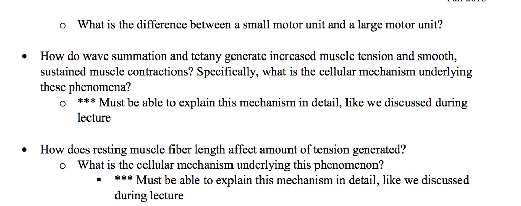 ? What is the difference between a small motor unit and a large motor ...