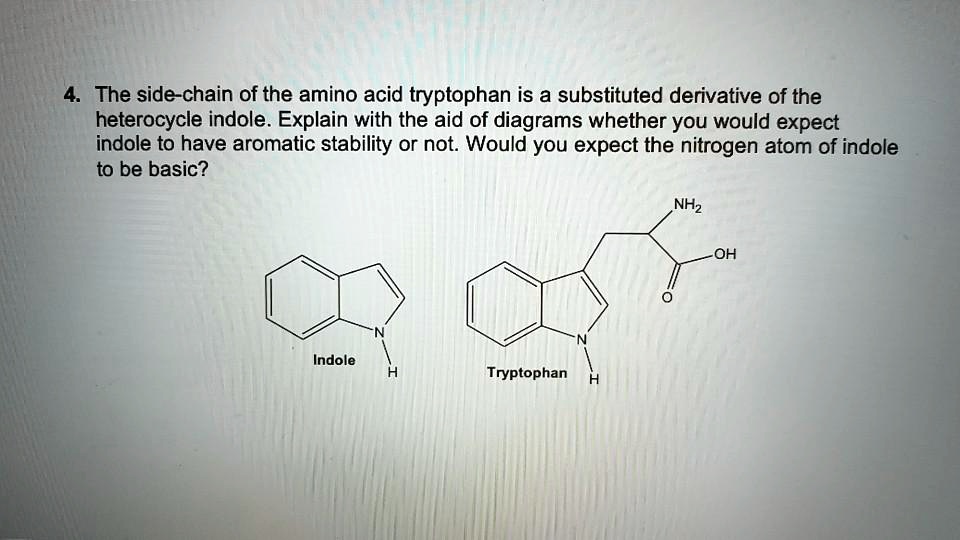 SOLVED: The side-chain of the amino acid tryptophan is a substituted ...