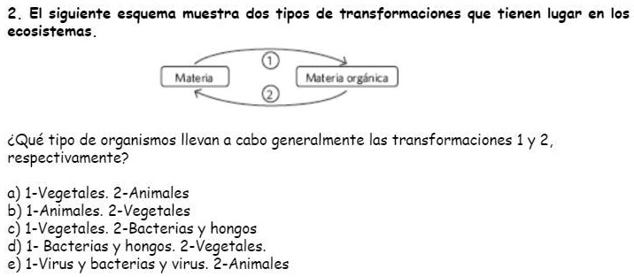 SOLVED: Ayuda en esta pregunta porfa SOLVED: Ayuda en esta pregunta porfa
