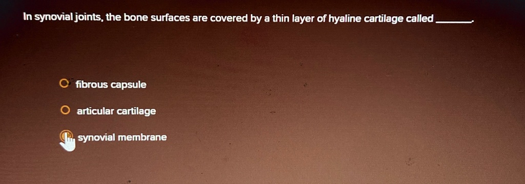 in synovial joints the bone surfaces are covered by a thin layer of ...