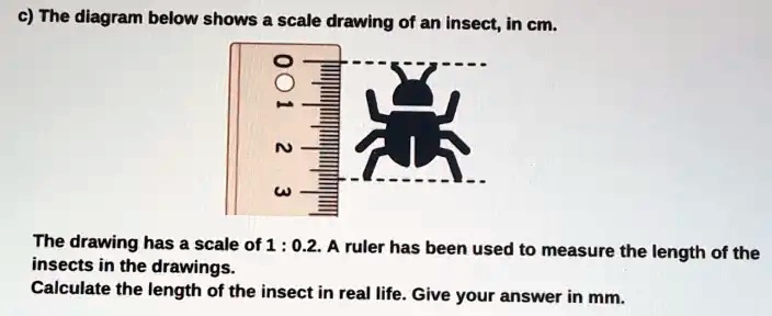 c) The diagram below shows a scale drawing of an insect, in cm. 001 2 3 ...