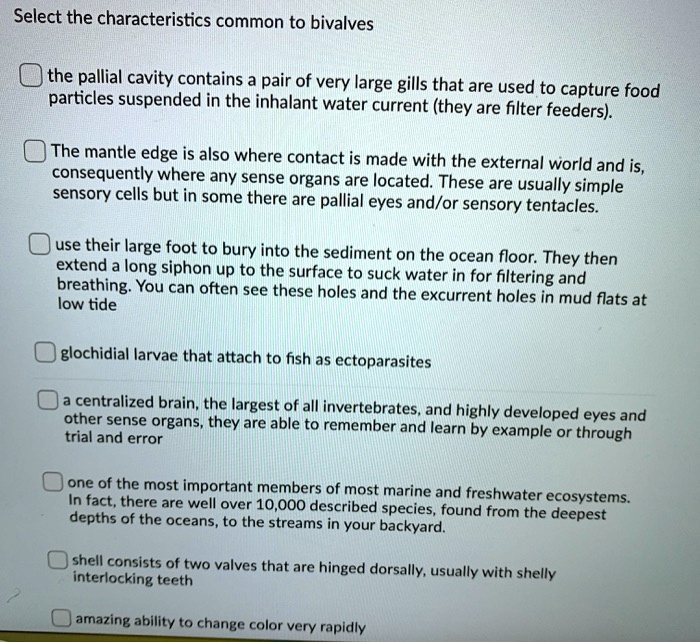select the characteristics common to bivalves the pallial cavity ...