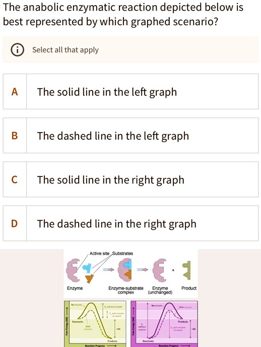 SOLVED: The anabolic enzymatic reaction depicted below is best ...