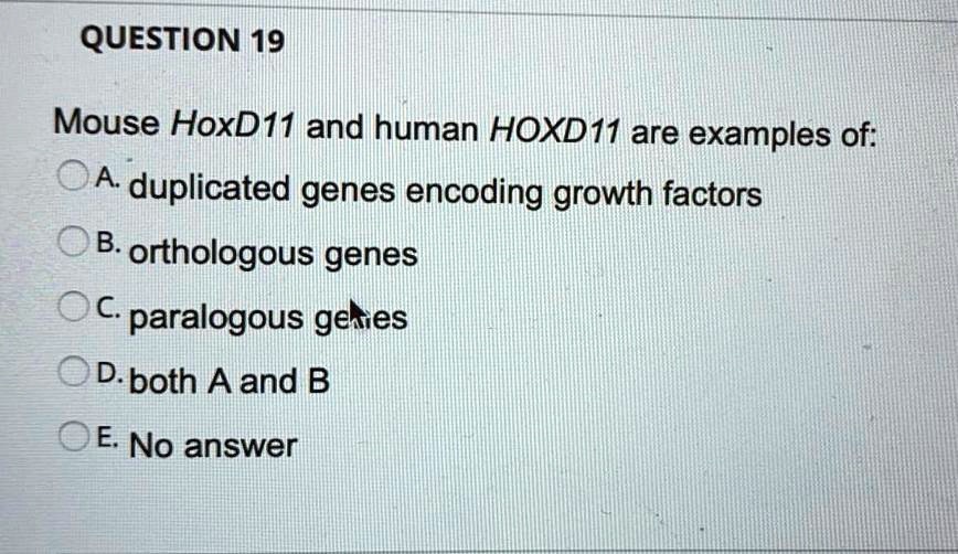 SOLVED: QUESTION 19 Mouse HoxD11 and human HOXD11 are examples of: A ...