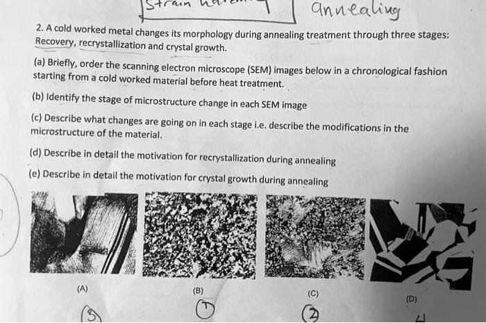 Solved Texts Annealing Recovery Recrystallization And Crystal Growth Starting From A Cold