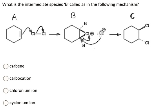 What is the intermediate species 'B' called in the following mechanism ...