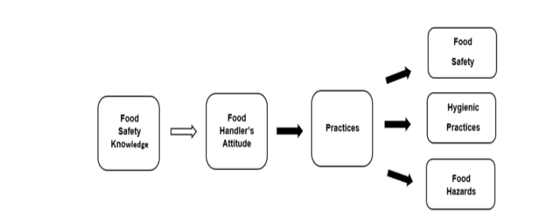 Solved 2 Conceptual Framework The Effectiveness Of Food Safety And