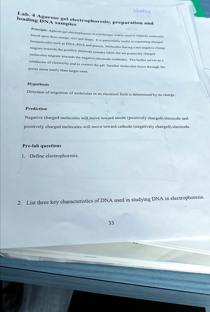 2/10/24 Lab. 4 Agarose gel electrophoresis: preparation and loading DNA ...