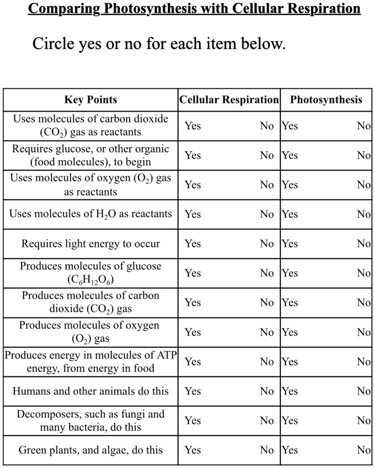 SOLVED: Comparing Photosynthesis with Cellular Respiration Circle yes or no for each item below ...