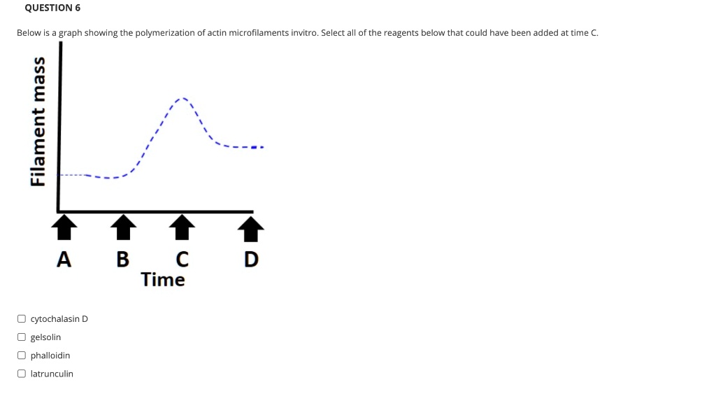 SOLVED: Below is a graph showing the polymerization of actin ...