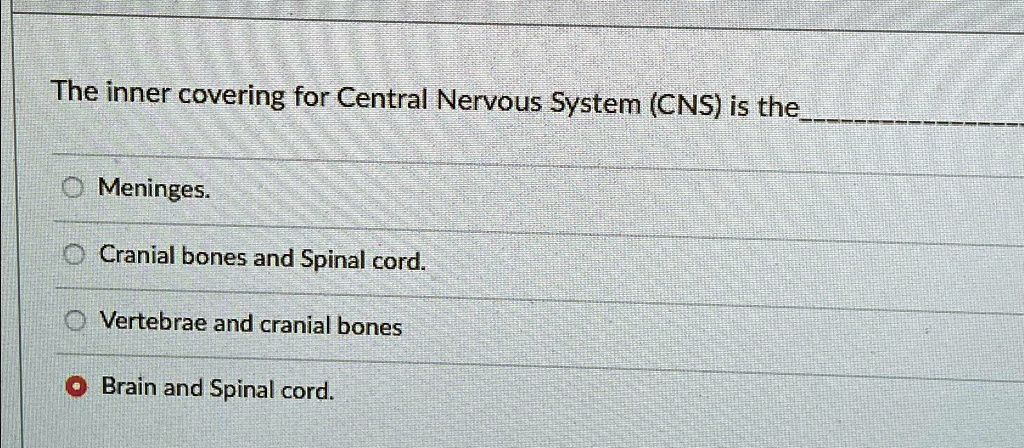 The inner covering for the Central Nervous System (CNS) is the meninges ...