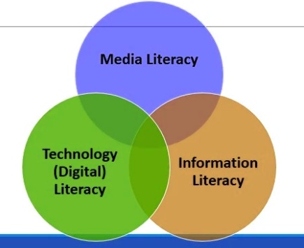 How are these literacies connected or related to each other? (What are ...