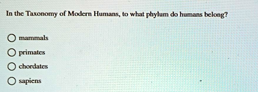 In the Taxonomy of Modern Humans, to what phylum do humans belong ...
