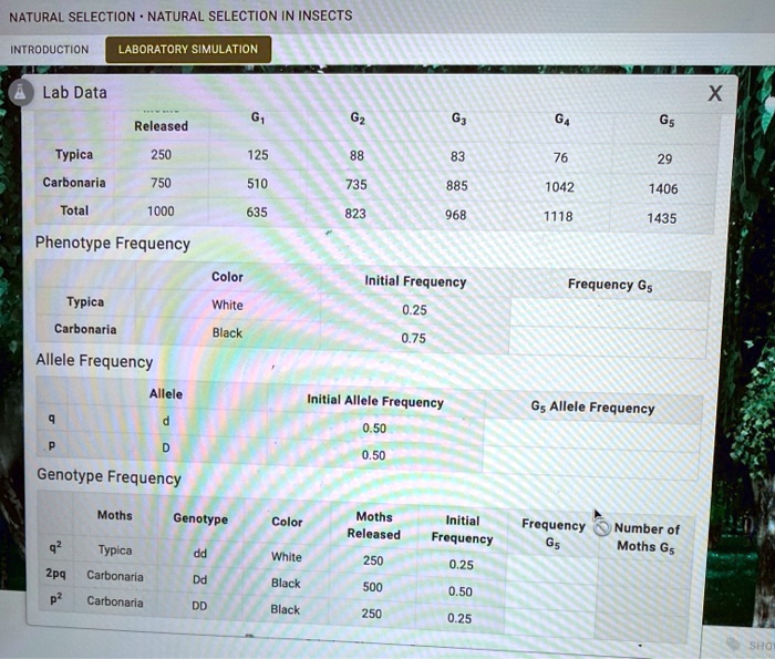 SOLVED: NATURAL SELECTION IN INSECTS INTRODUCTION LABORATORY SIMULATION ...