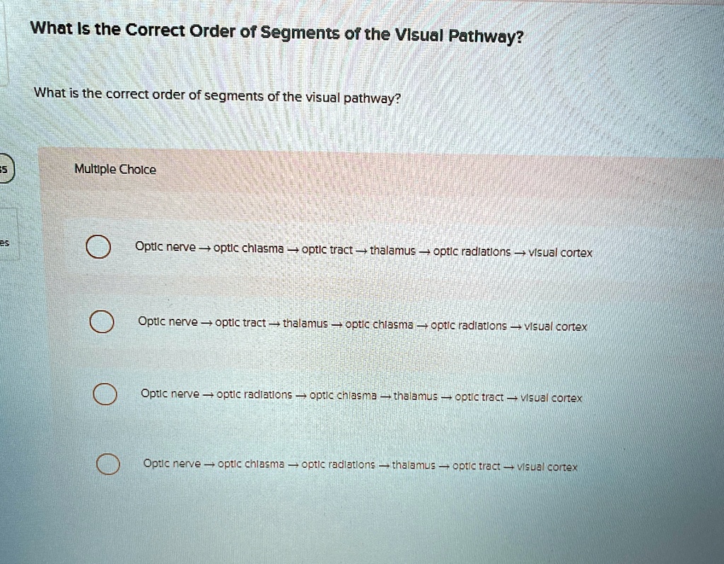 What Is the Correct Order of Segments of the Visual Pathway? What is ...