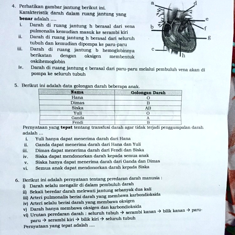 SOLVED: Itu jawabannya yg mana ya? Perhatikan gambar jantung berikut ... SOLVED: Itu jawabannya yg mana ya? Perhatikan gambar jantung berikut ...