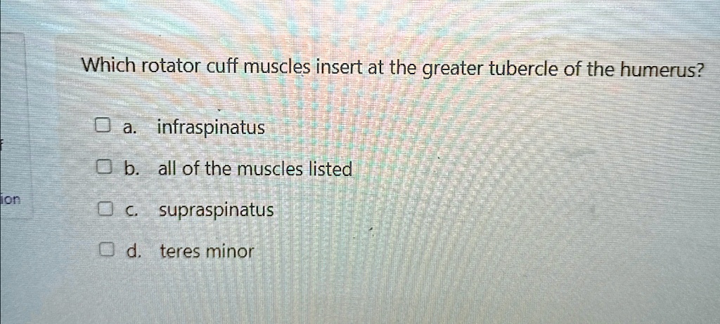 which rotator cuff muscles insert at the greater tubercle of the ...