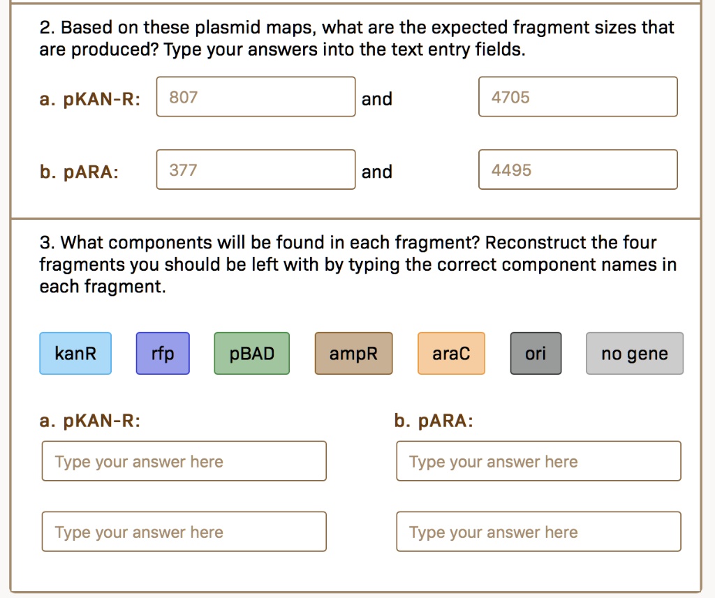 2 based on these plasmid maps what are the expected fragment...