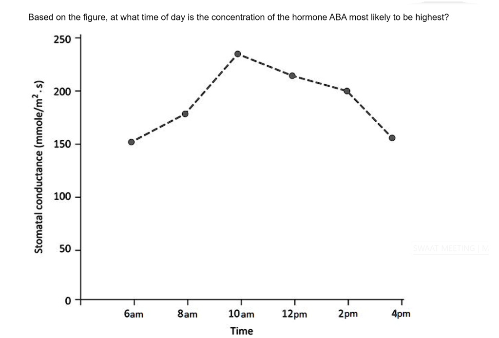 based on the figure at what time of day is the concentration of the ...