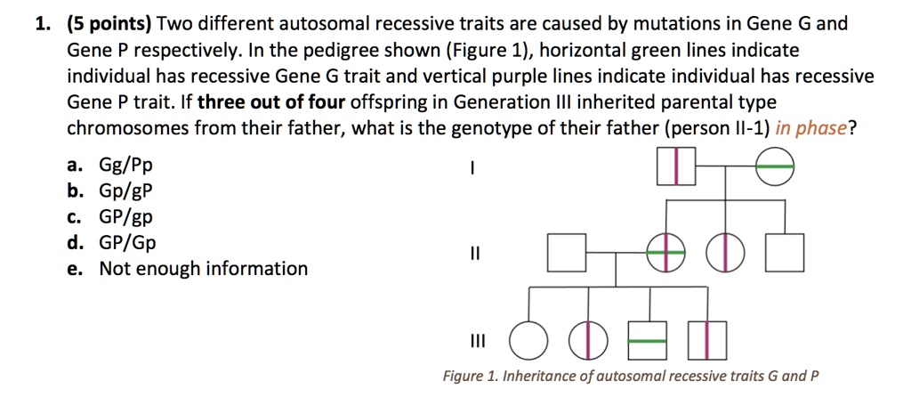 SOLVED: Two different autosomal recessive traits are caused by ...