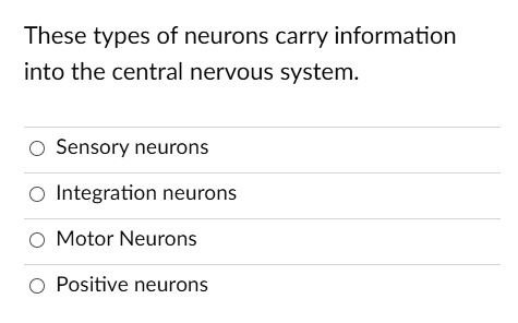 SOLVED: These types of neurons carry information into the central nervous system Sensory neurons ...