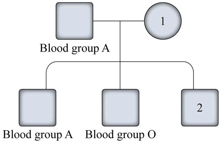 SOLVED: 'The pedigree chart below shows the blood types of three ...