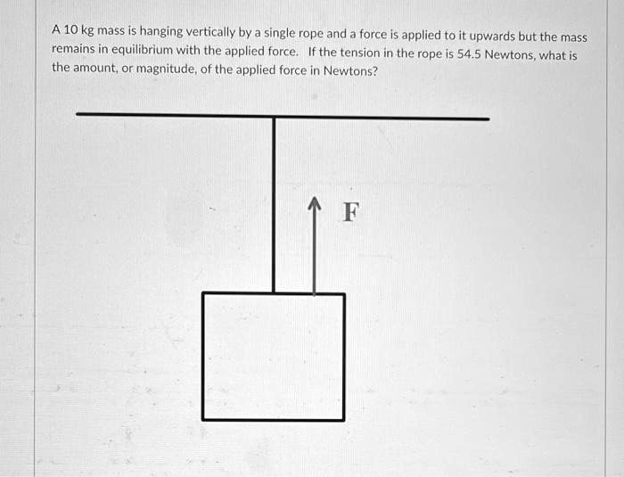 SOLVED: A 10 kg mass is hanging vertically by a single rope and - force ...