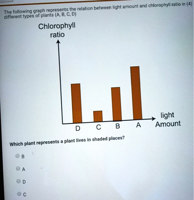 light amount and chlorophyll ratio in 4 the following graph represents ...