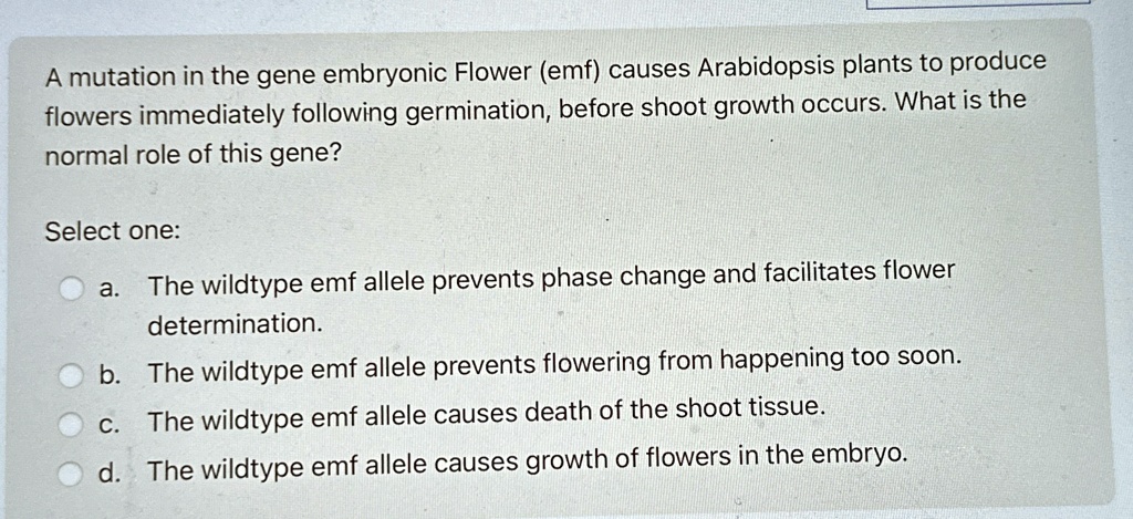 A mutation in the gene embryonic Flower (emf) causes Arabidopsis plants ...