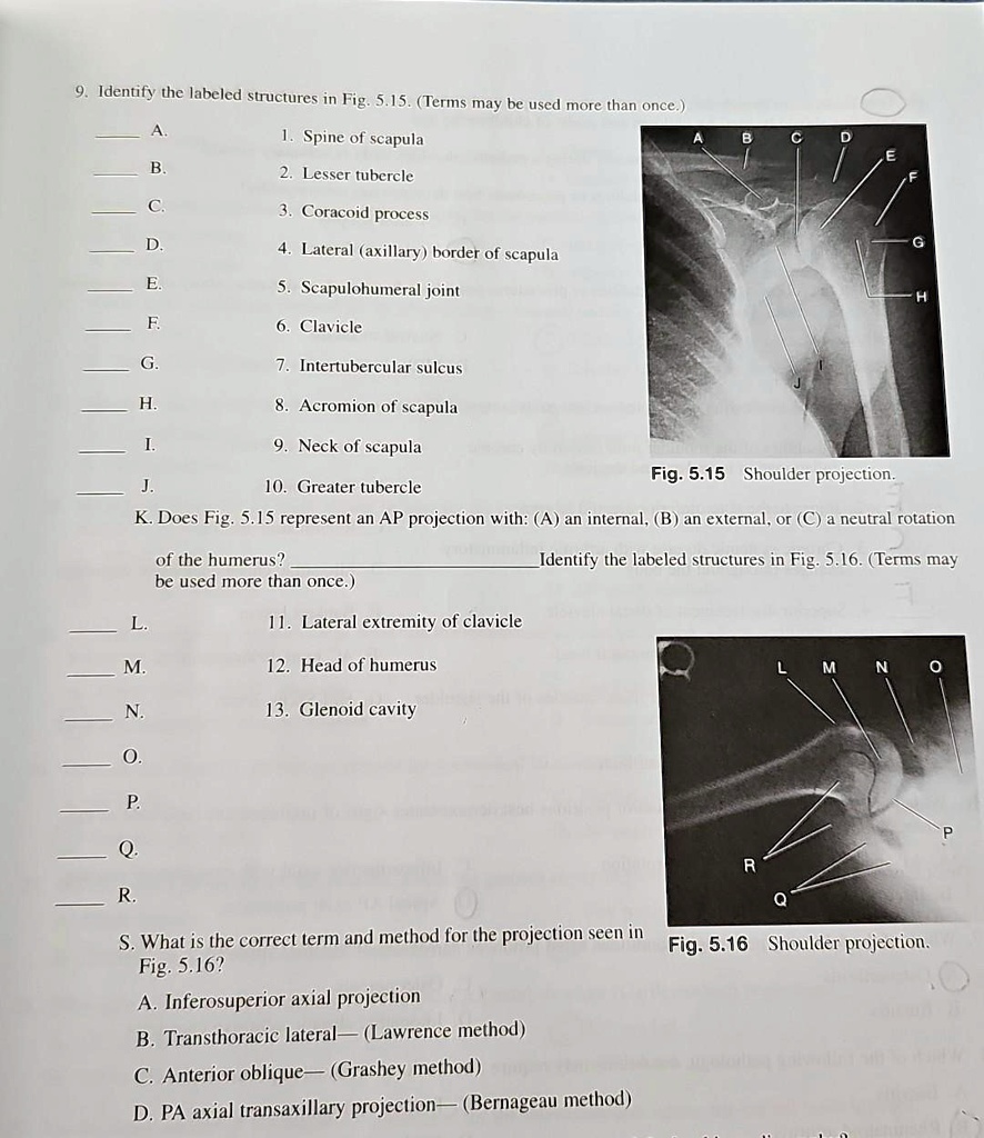 9. Identify the labeled structures in Fig. 5.15. (Terms may be used ...