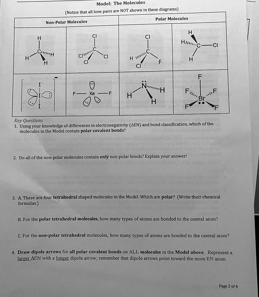 SOLVED: Model: The Molecules (Notice that all lone pairs are NOT shown ...
