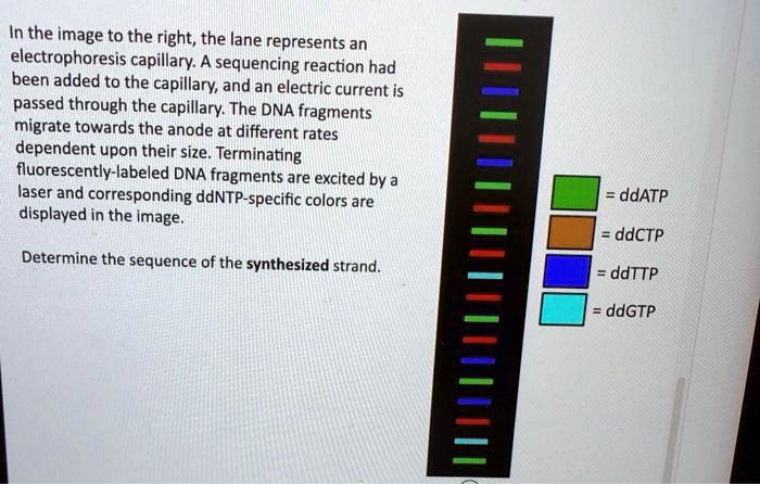 SOLVED:In the image to the right, the lane represents an ...