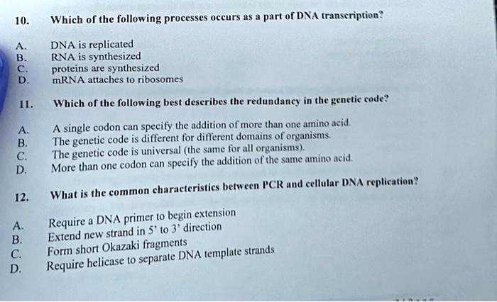 SOLVED: 10. Which of the following processes occurs as a part of DNA transcription? A. DNA is ...