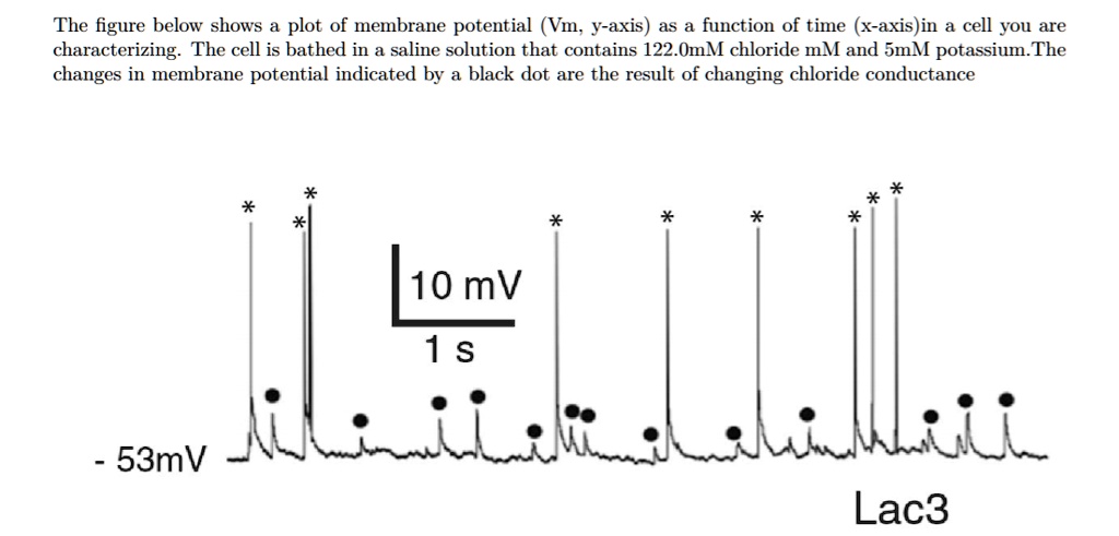 the figure below shows a plot of membrane potential vm y axis as ...