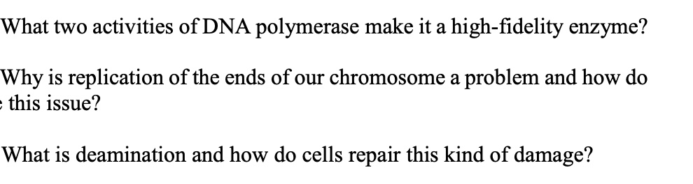 What two activities ofdna polymerase make it a high fidelity...
