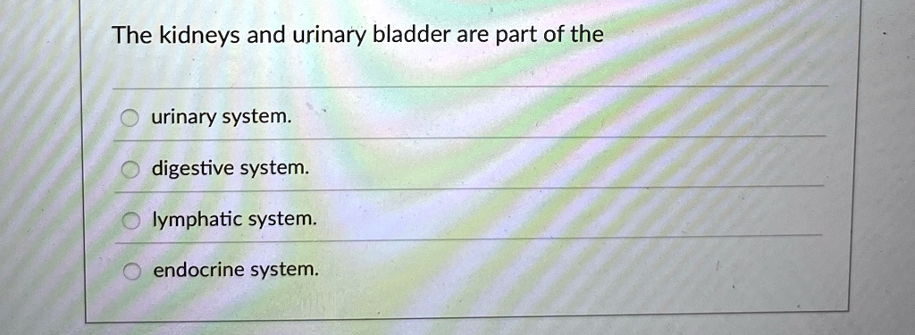 the kidneys and urinary bladder are part of the urinary system ...
