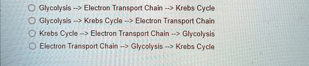 Glycolysis –> Electron Transport Chain –> Krebs Cycle ☐ Glycolysis ...