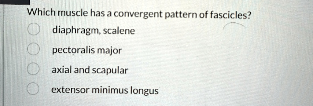 which muscle has a convergent pattern of fascicles diaphragm scalene ...
