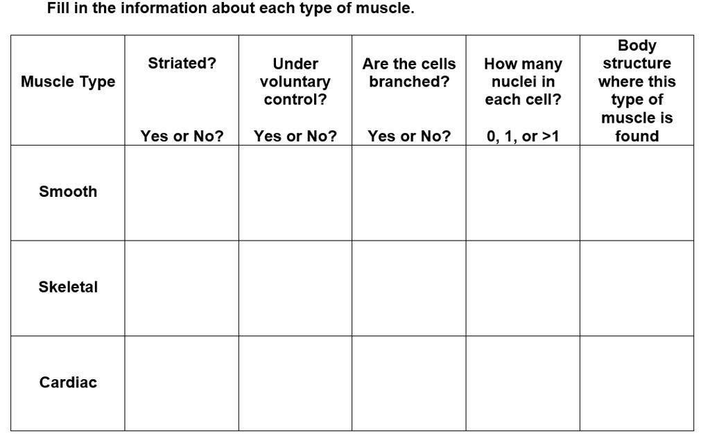 fill in the information about each type of muscle body structure where ...