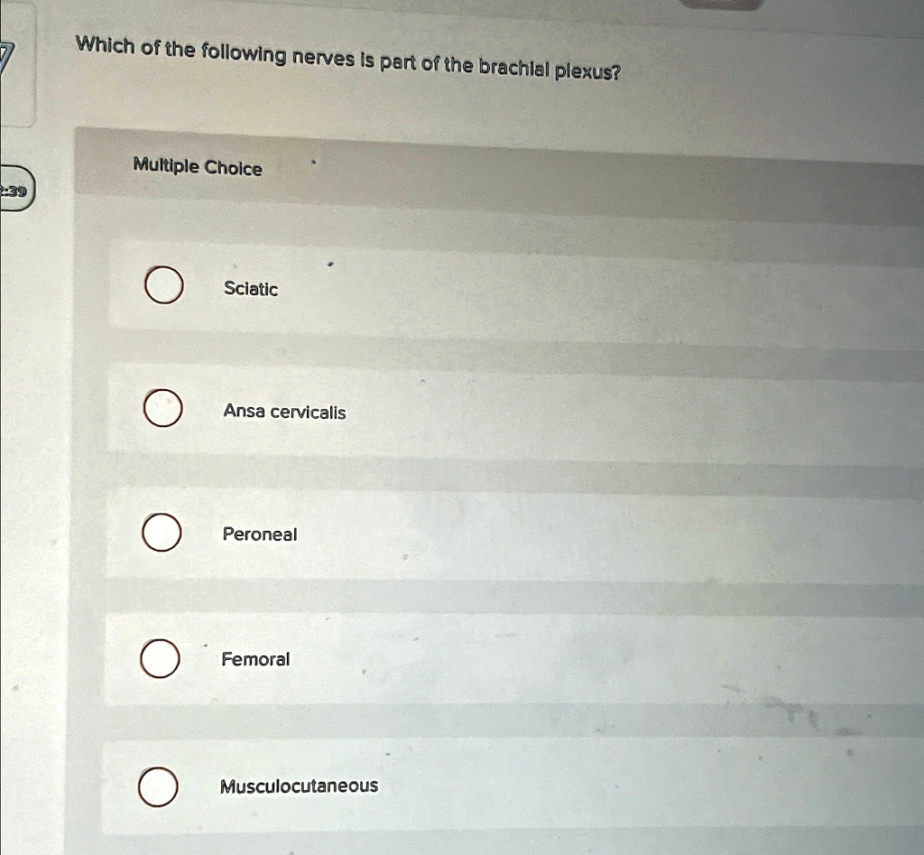 Which of the following nerves is part of the brachial plexus? Multiple ...