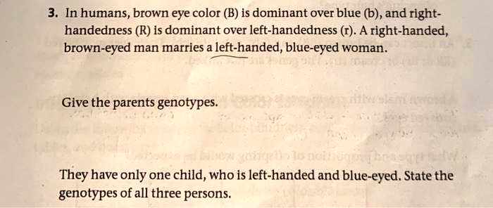 SOLVED: 3. In humans, brown eye color (B) is dominant over blue (b ...