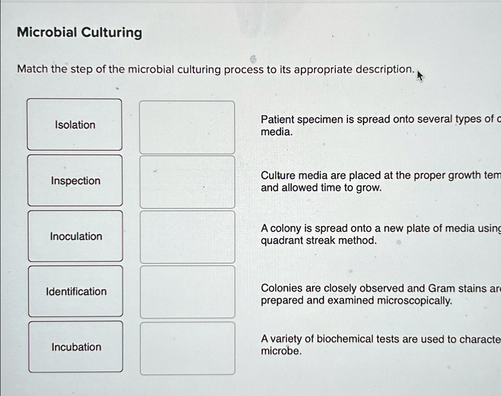 Microbial Culturing Match the step of the microbial culturing process ...
