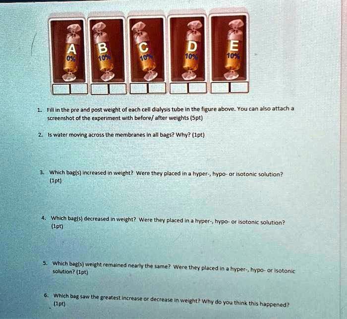 SOLVED: A 0% B 10% C 10% D 10% E 10% 1. Fill in the pre and post weight ...